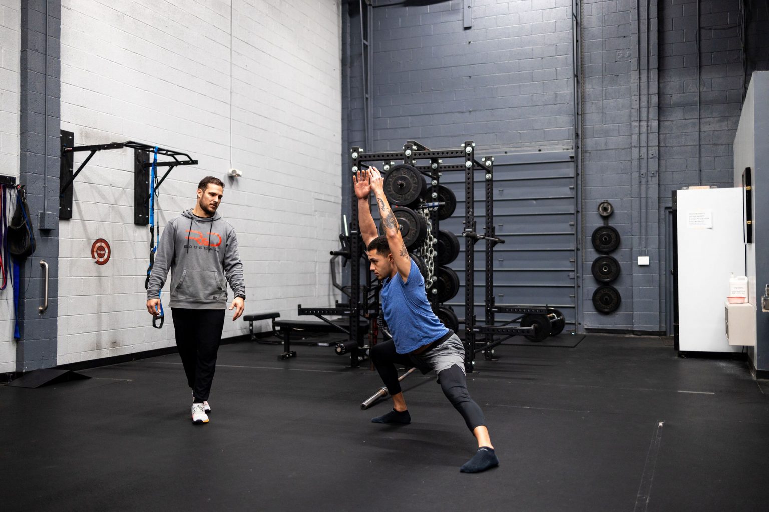 R&D Baseball: Personalized Training for Optimal Health, Performance ...